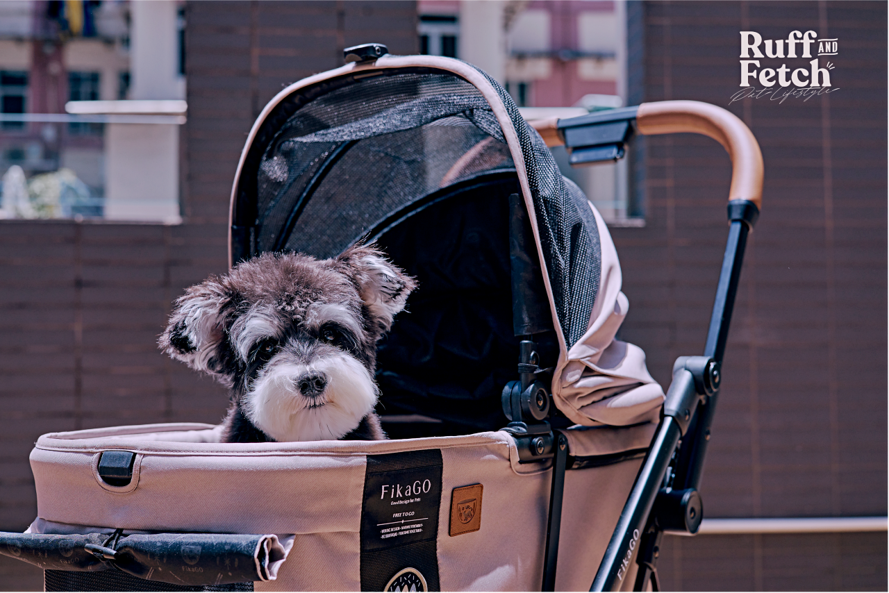 啟德AIRSIDE商場｜2023年開幕 MCL戲院＋MUJI＋室內大型衝浪場進駐